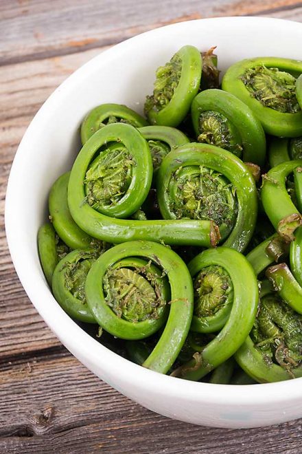 Fiddlehead CHEFIN Australia