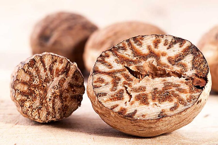 Nutmeg CHEFIN Australia