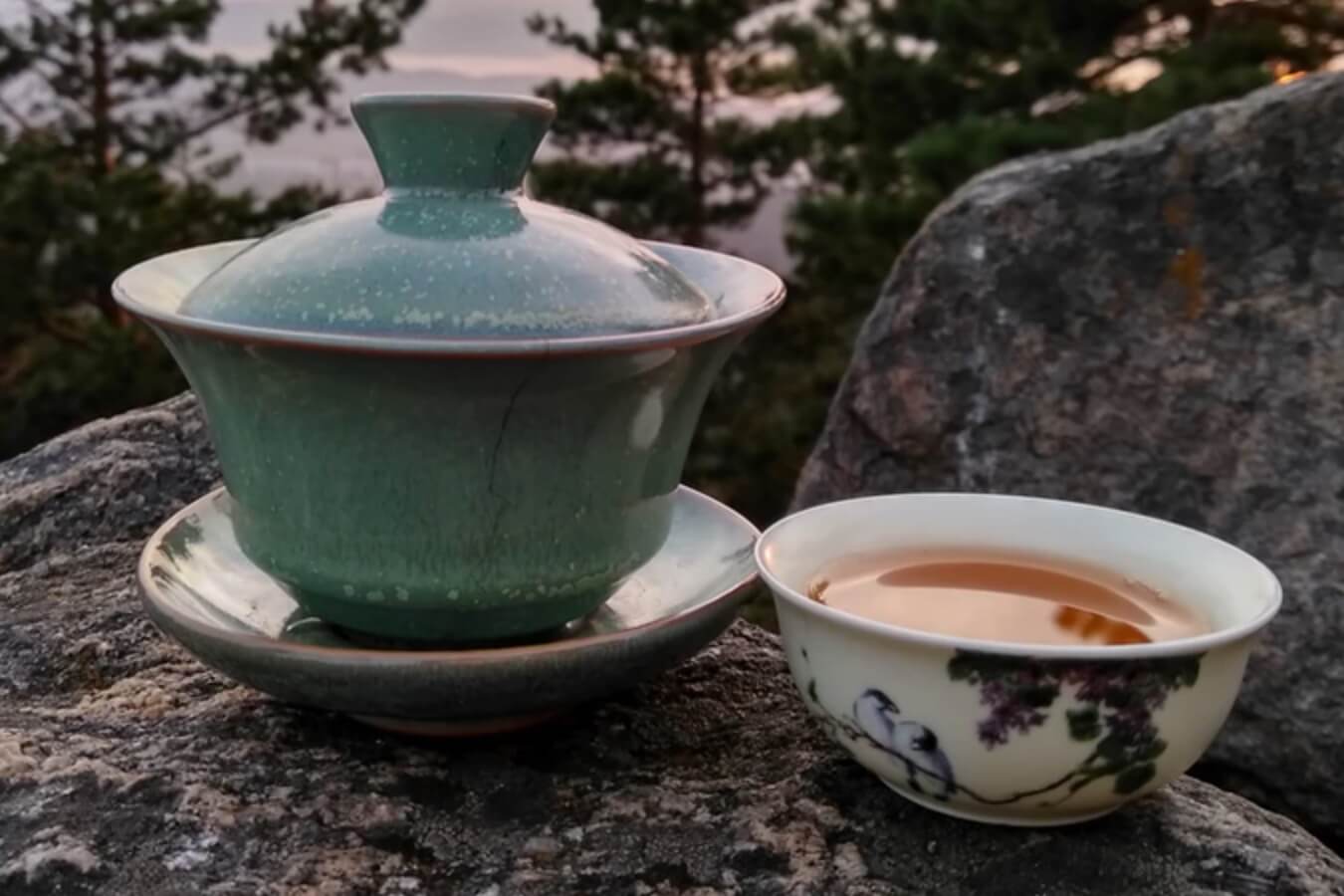 How to Celebrate the Japanese Cherry Blossom Festival in Australia