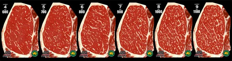6 Ambassadors of Australian Wagyu in the US – CHEFIN Australia