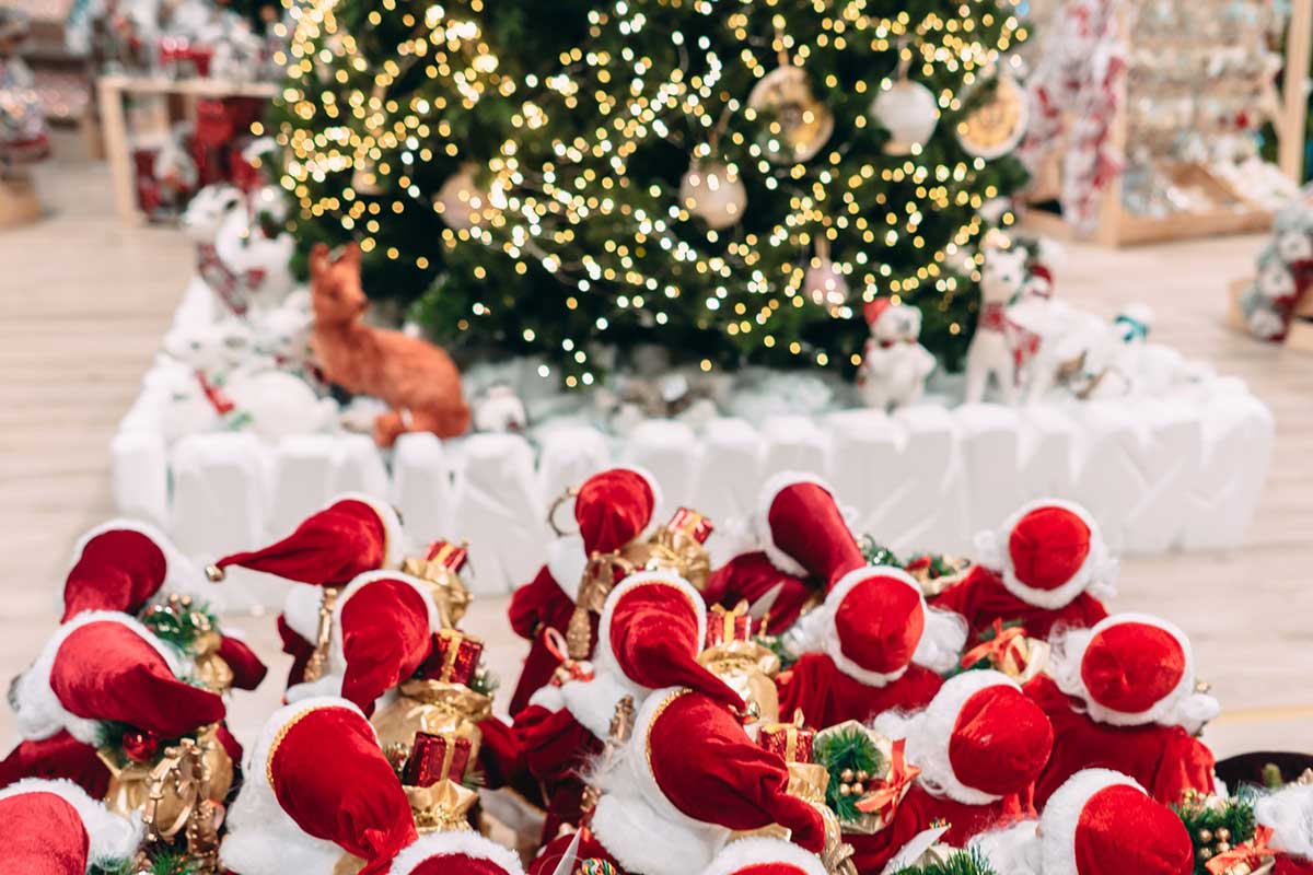 12 Easy Steps to Organising a Successful Christmas Party – CHEFIN Australia
